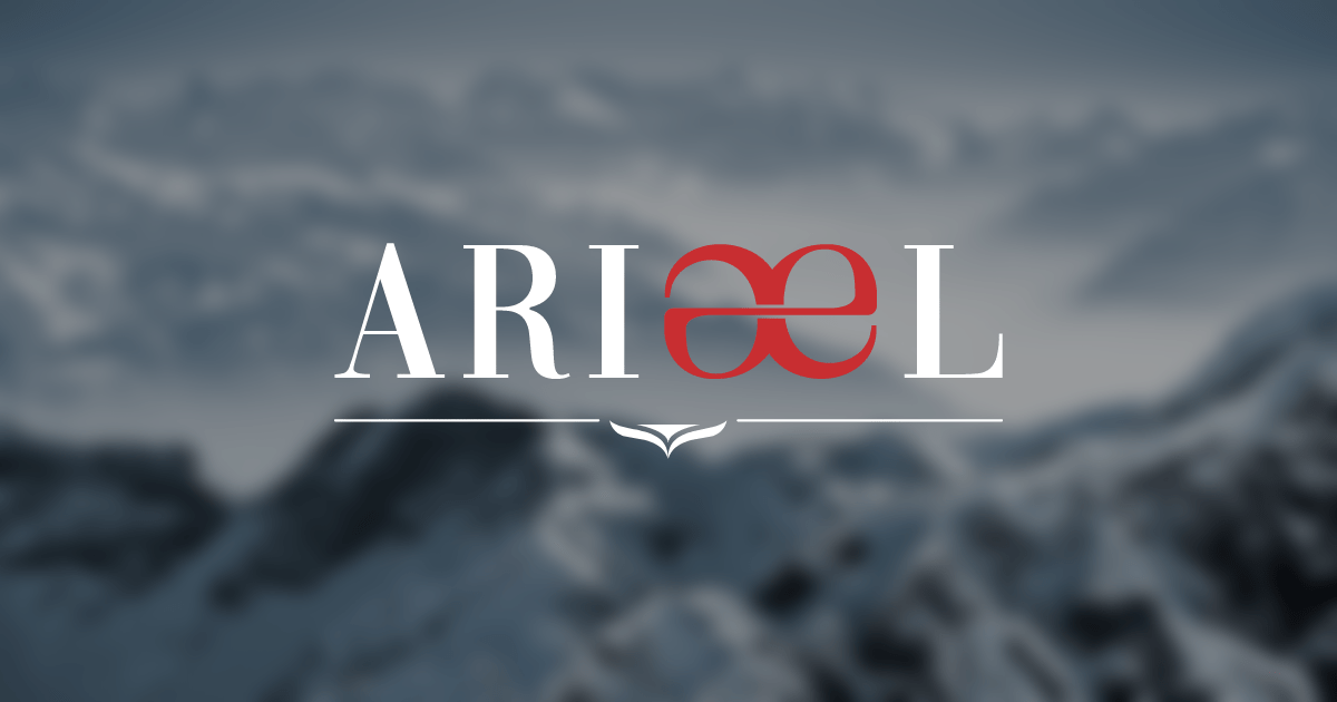 Corporate and extraordinary consultancy tailored for you - Ariael